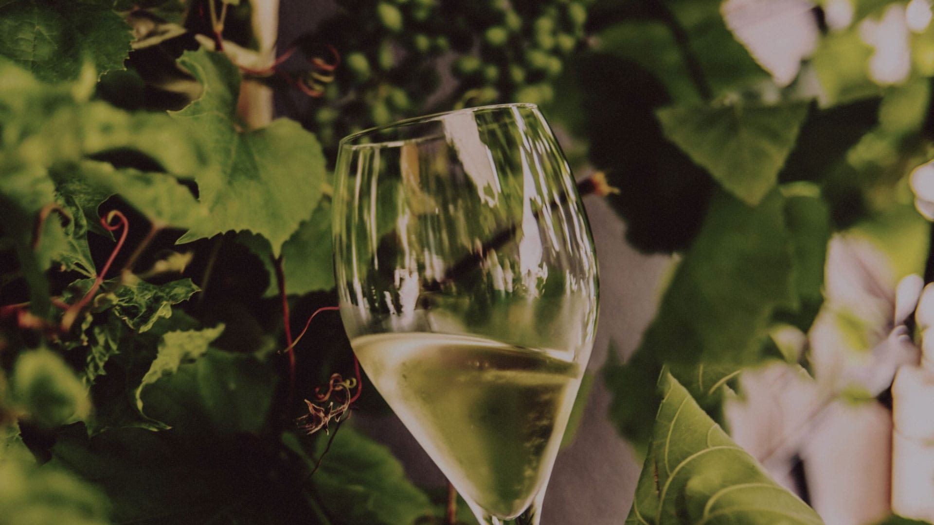 Fine Wine and Spirits Merchant • Hatton & Edwards